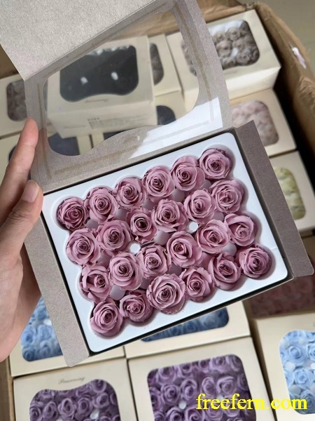 preserved roses exclusive roses 24 pcs/ carton 2-3cm